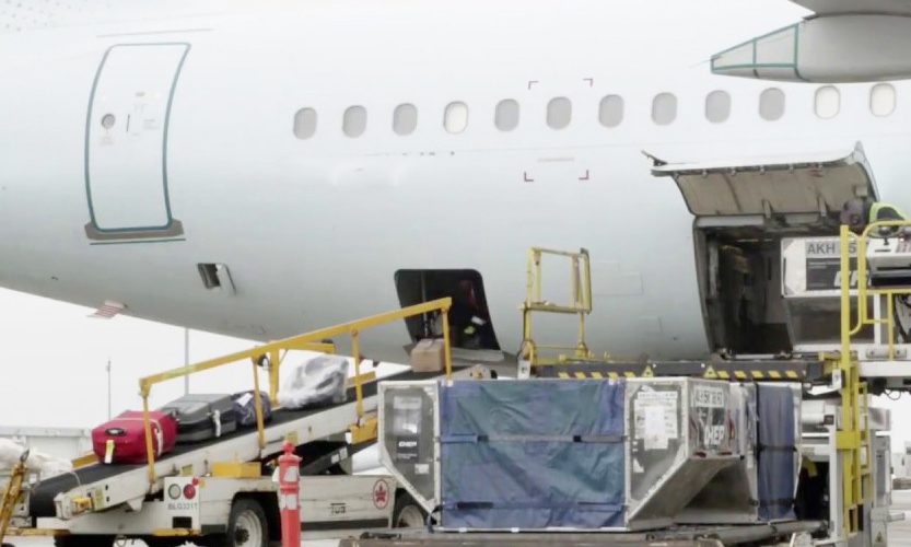 CARGO WAREHOUSE OPERATIONS AND ULD BUILD-UP - Inspire Management ...